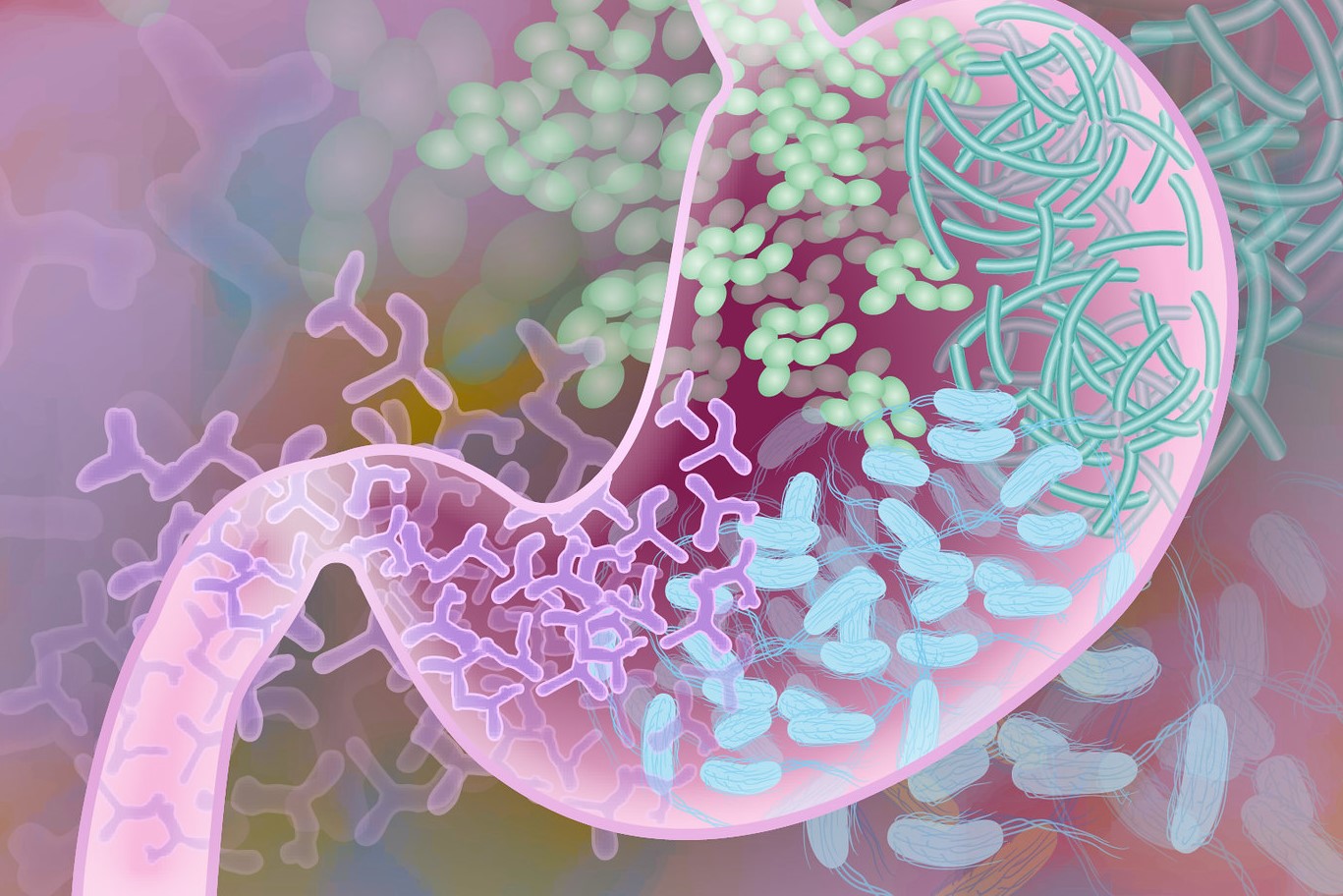 Compuestos bioactivos en tiempos de pandemia: prebióticos, probióticos ...